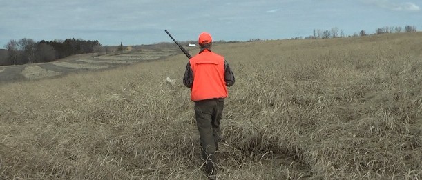 Shooting Tips For Pheasant Hunters