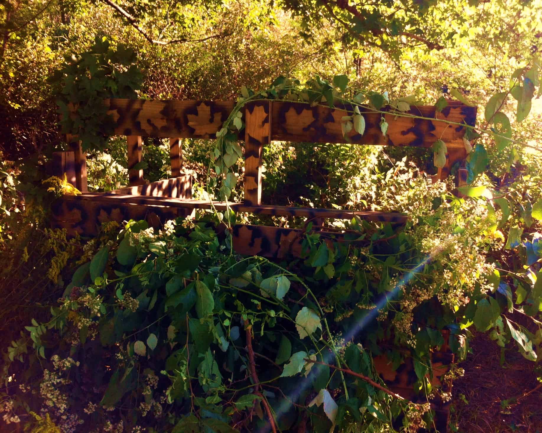 Easy DIY Pallet Deer & Turkey Hunting Blind | Heartland Lodge