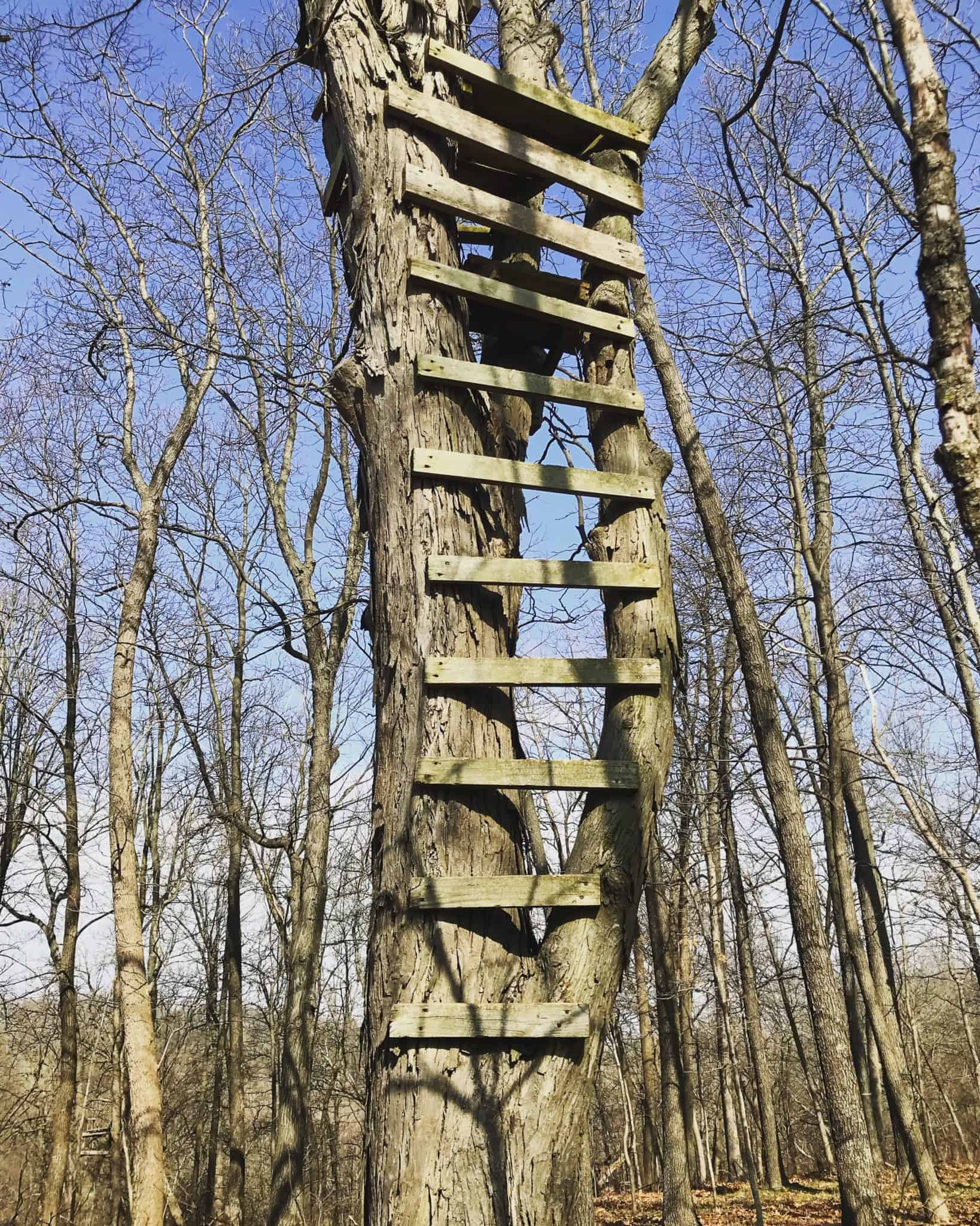 Fine Tuning Your Treestand Locations | Heartland Lodge