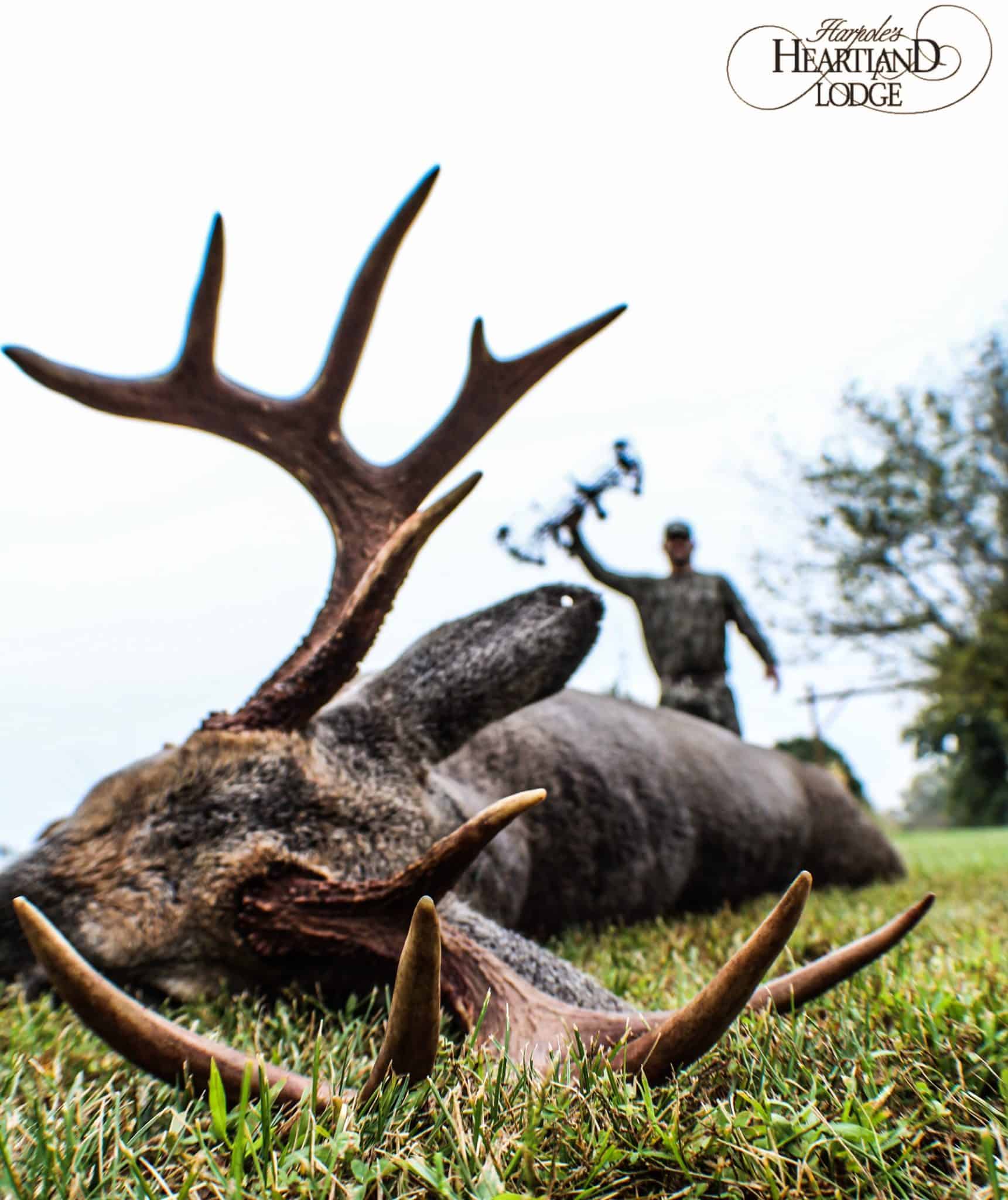 Tips for Picking the Right Climber Tree for Deer Hunting