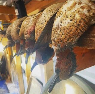 Illinois Waterfowl Hunting: Guided Duck & Goose Hunts | Heartland Lodge