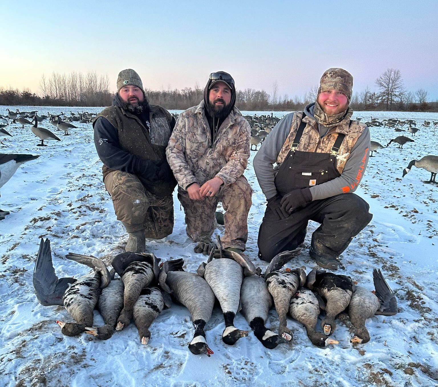Canada Goose Hunting Outfitters | Heartland Lodge