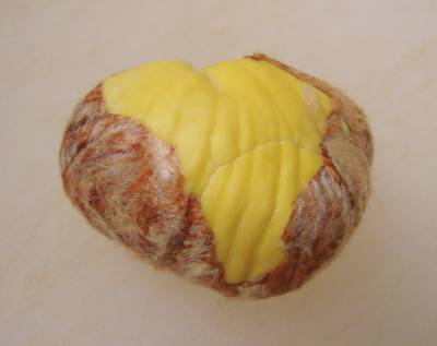 Chestnuts Roasting on an Open Fire!!!